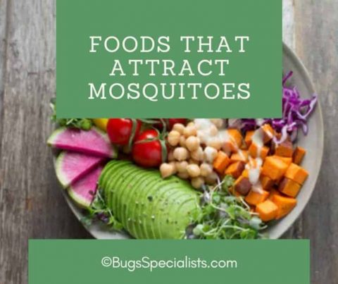 Foods that Attract Mosquitoes - Pest Control Heroes